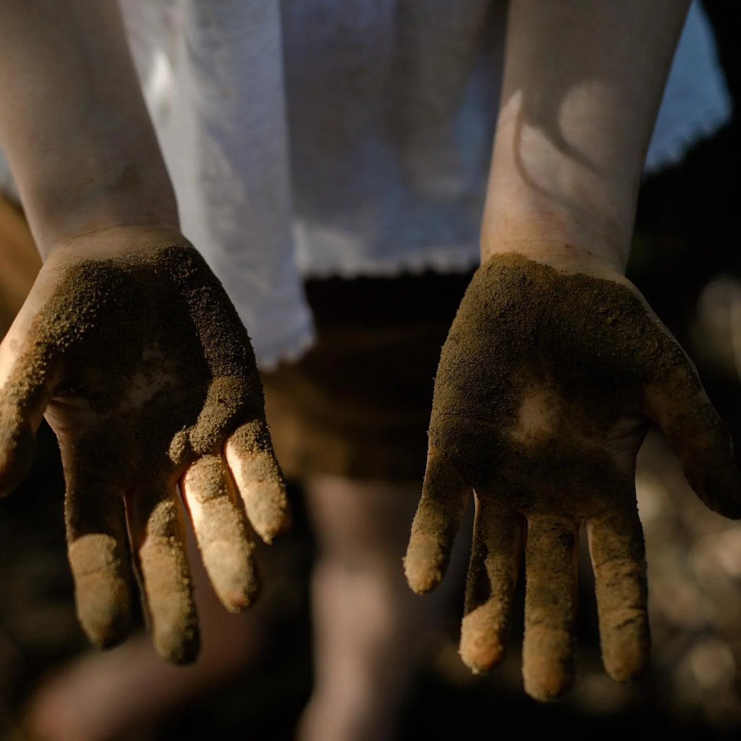 Hayley Newell Counselling