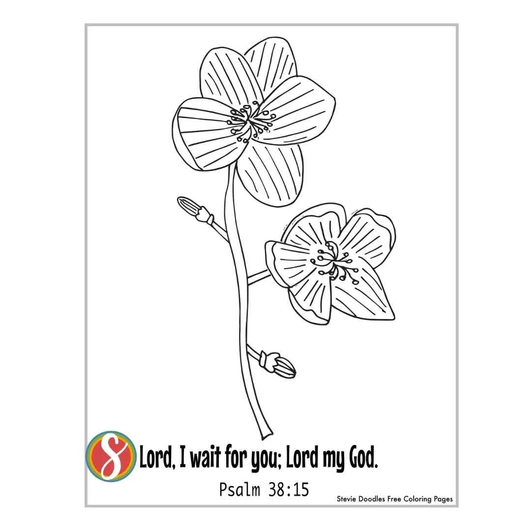 Psalm 31 - 40 - Free Coloring — Stevie Doodles