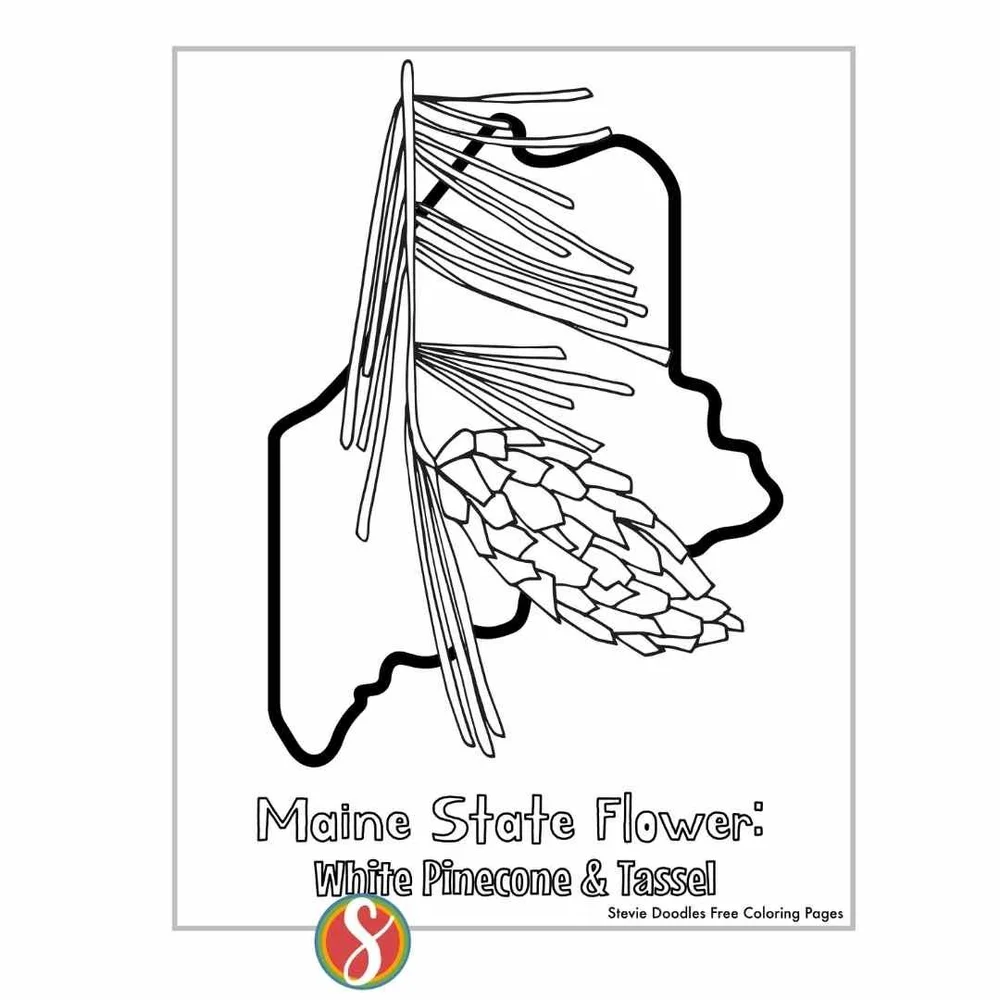 Free Pinecone & Tassel Coloring Pages — Stevie Doodles