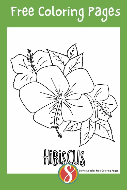 Free Hibiscus Coloring Pages — Stevie Doodles