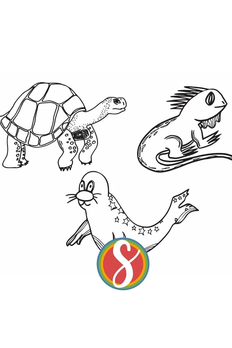 Stream & Color - Curiosity Stream - Wild Galapagos-2 — Stevie Doodles