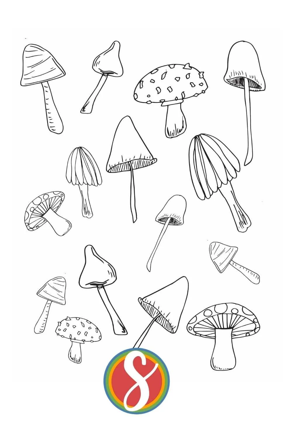 Kingdom Fungi Coloring Worksheet Sketch Coloring Page