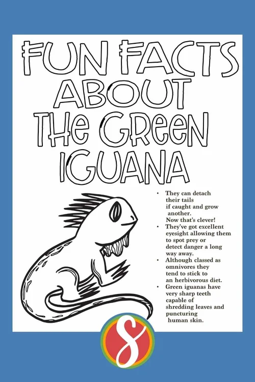 Free Iguana Facts Coloring Page — Stevie Doodles