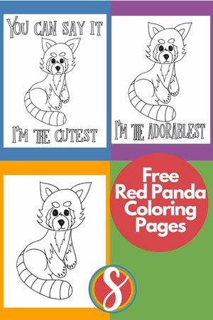 4 Free Red Panda Coloring Pages — Stevie Doodles