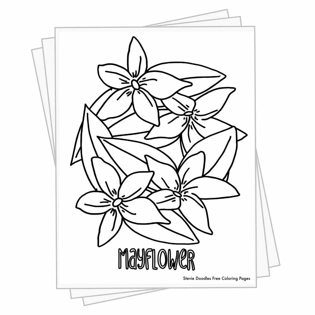 Free Clover Coloring Pages Stevie Doodles Free Clover Coloring Pages Stevie Doodles