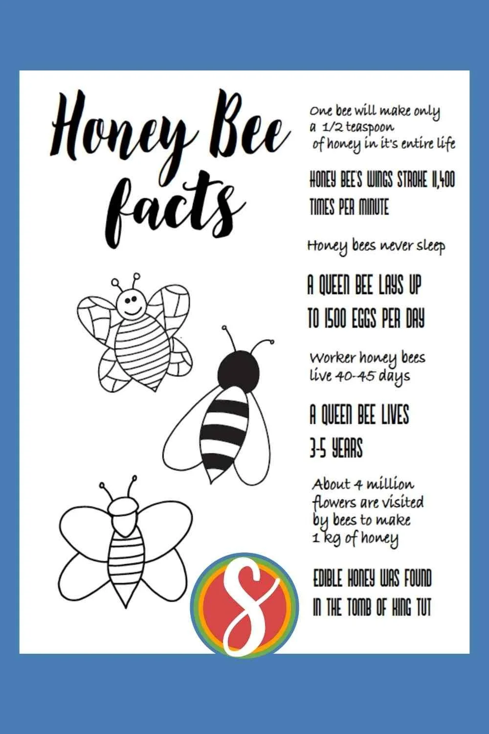 Animal Facts - Free Educational Coloring Pages — Stevie Doodles