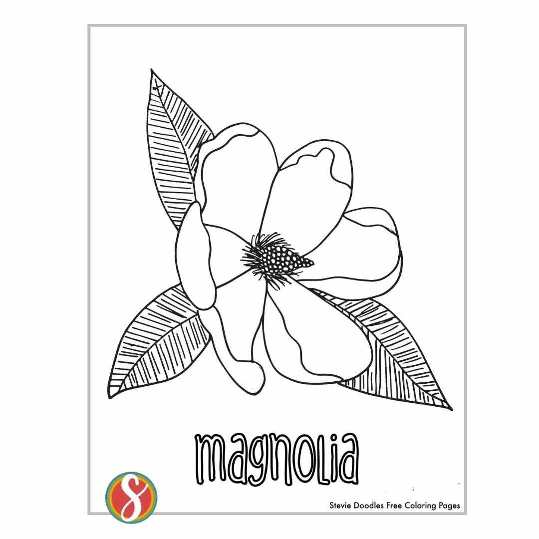 Free Magnolia Coloring Pages — Stevie Doodles