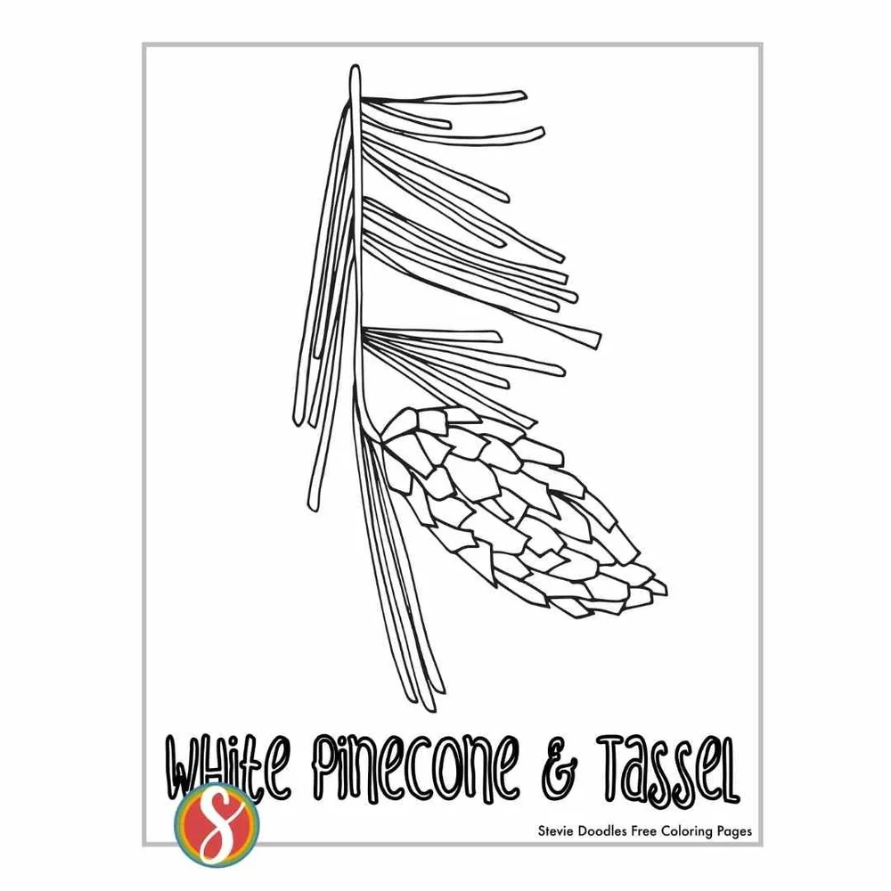 Free Pinecone & Tassel Coloring Pages — Stevie Doodles