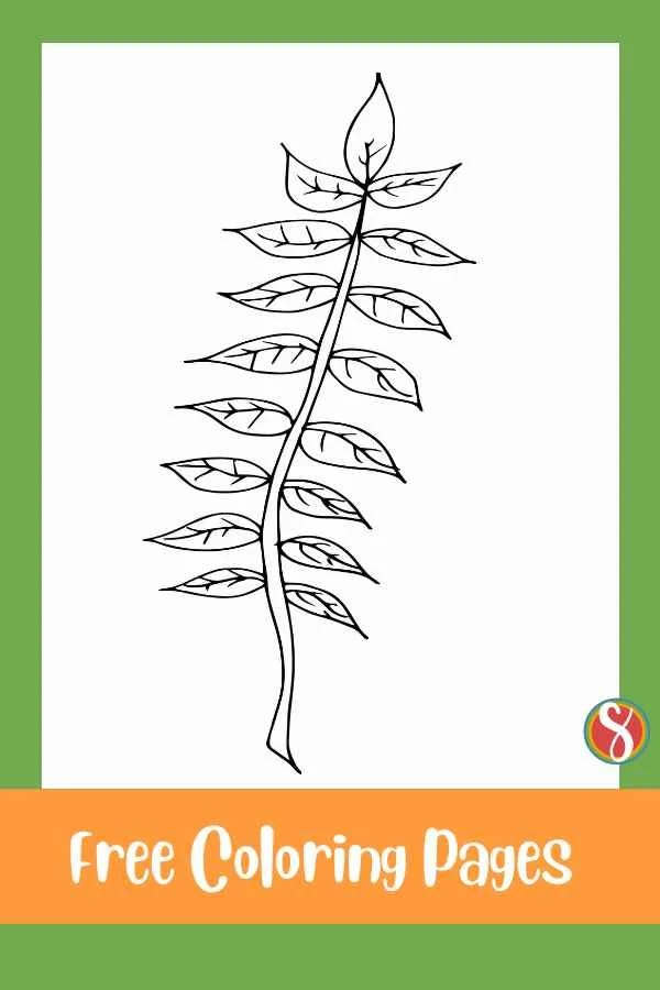 Free Fall Leaves Coloring Page — Stevie Doodles