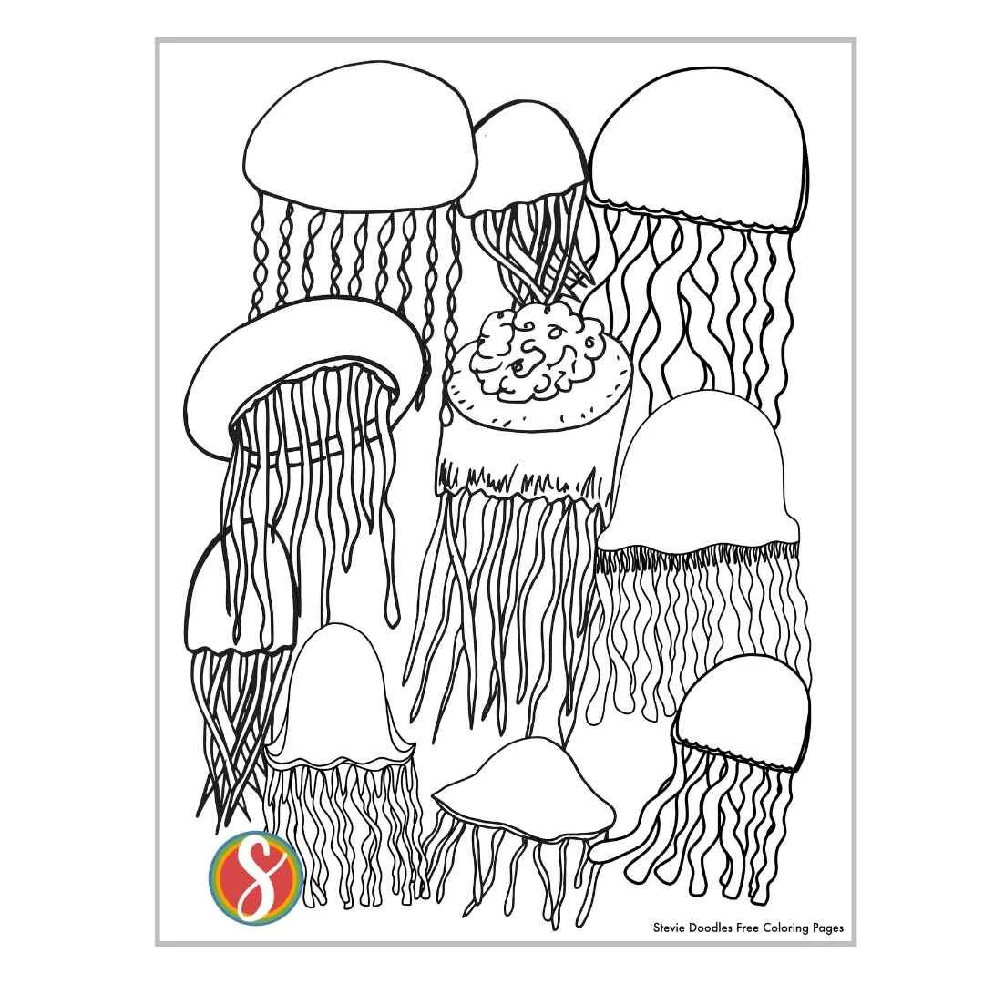 Free Jellyfish Coloring Pages — Stevie Doodles