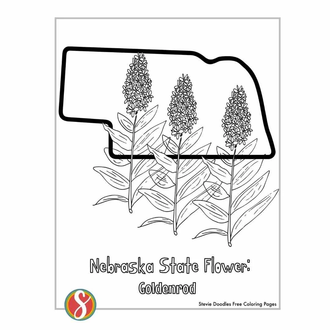 Free Goldenrod Coloring Pages Stevie Doodles