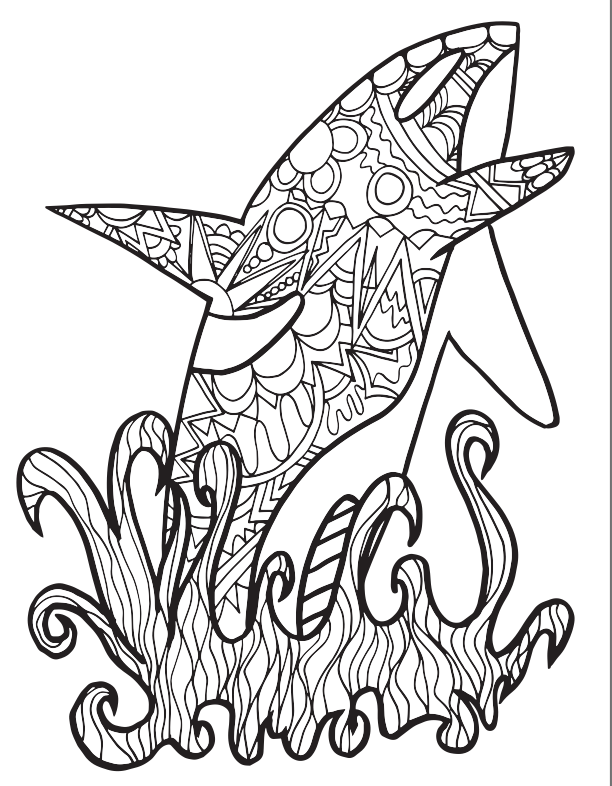 Free Orca Coloring Pages — Stevie Doodles