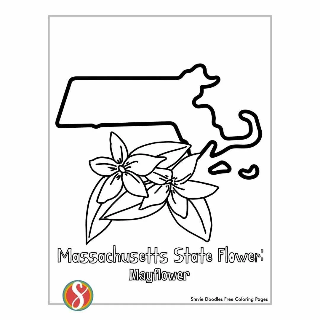 Free Massachusetts Coloring Pages — Stevie Doodles