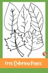 Free Fall Leaves Coloring Page — Stevie Doodles
