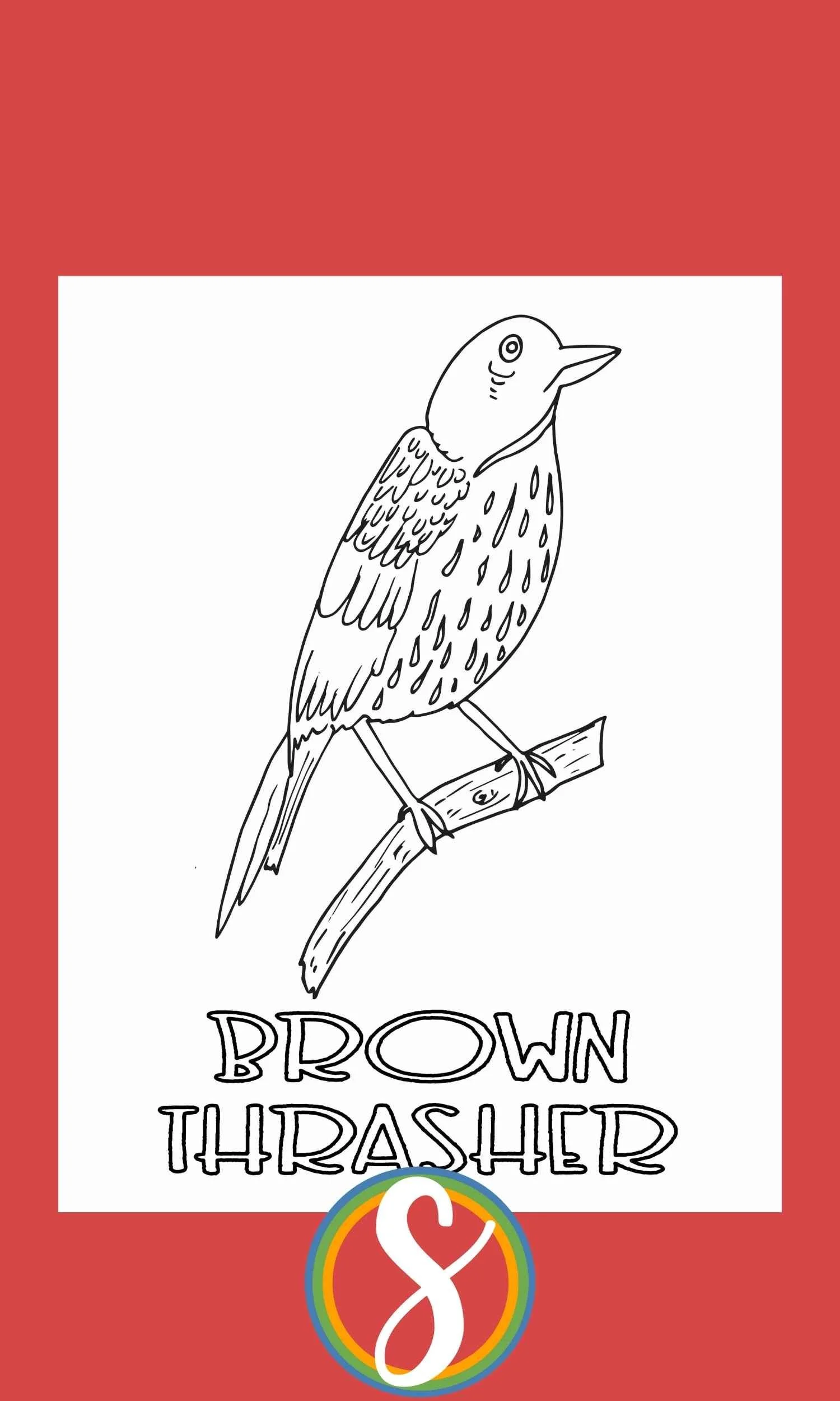 Free Bird Coloring Pages — Stevie Doodles