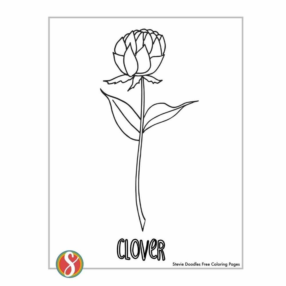 Free Clover Coloring Pages — Stevie Doodles