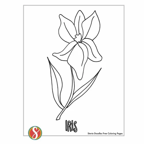 Free Iris Coloring Pages — Stevie Doodles