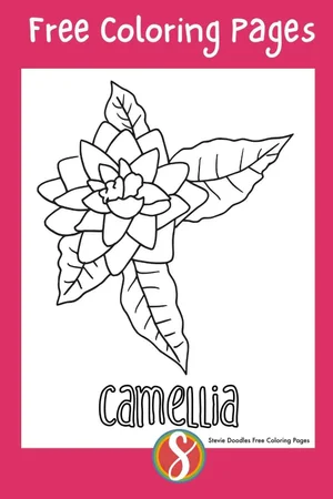 Free Camellia Coloring Pages — Stevie Doodles