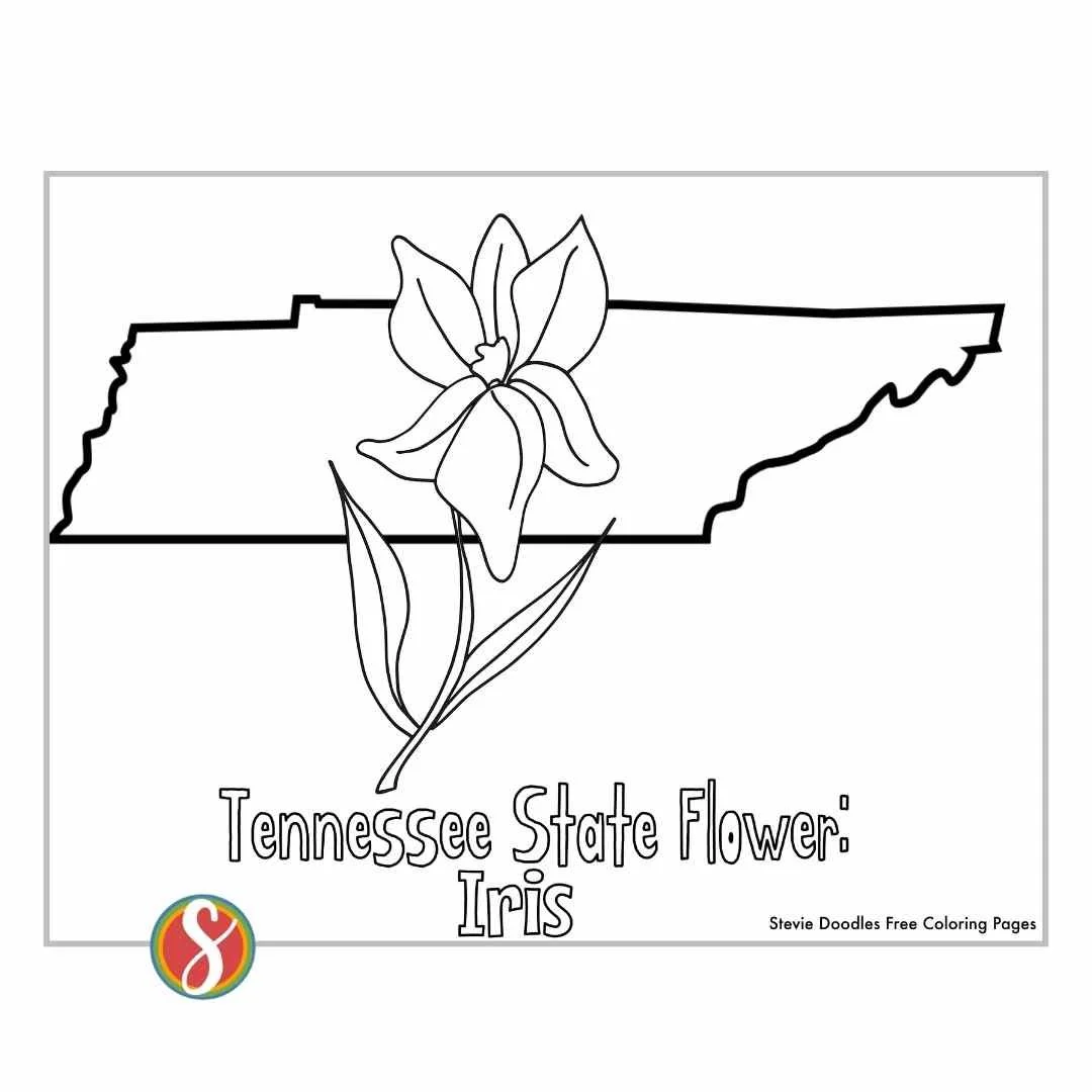 Tennessee State Coloring Pages Sketch Coloring Page