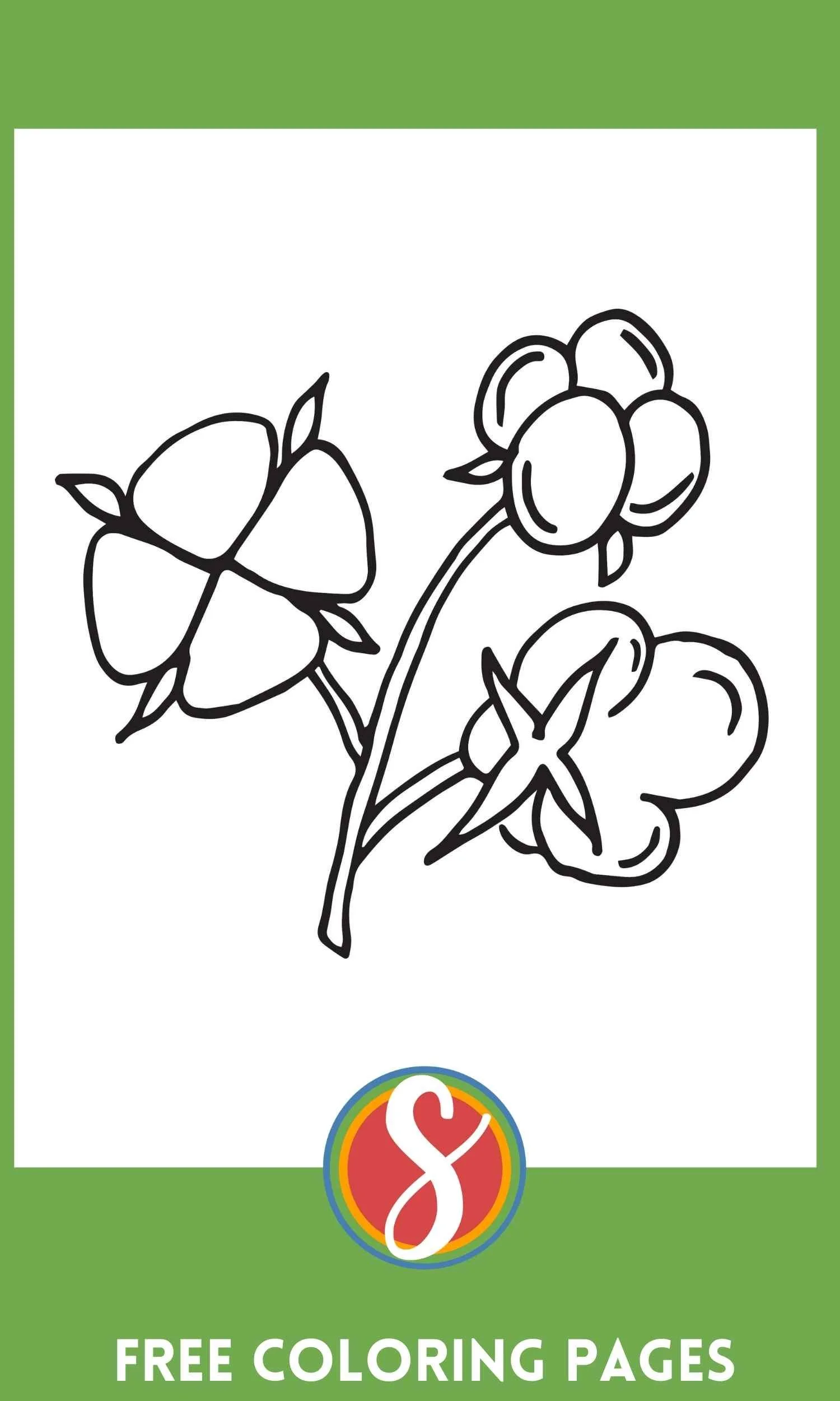 Free Flower Coloring Pages — Stevie Doodles