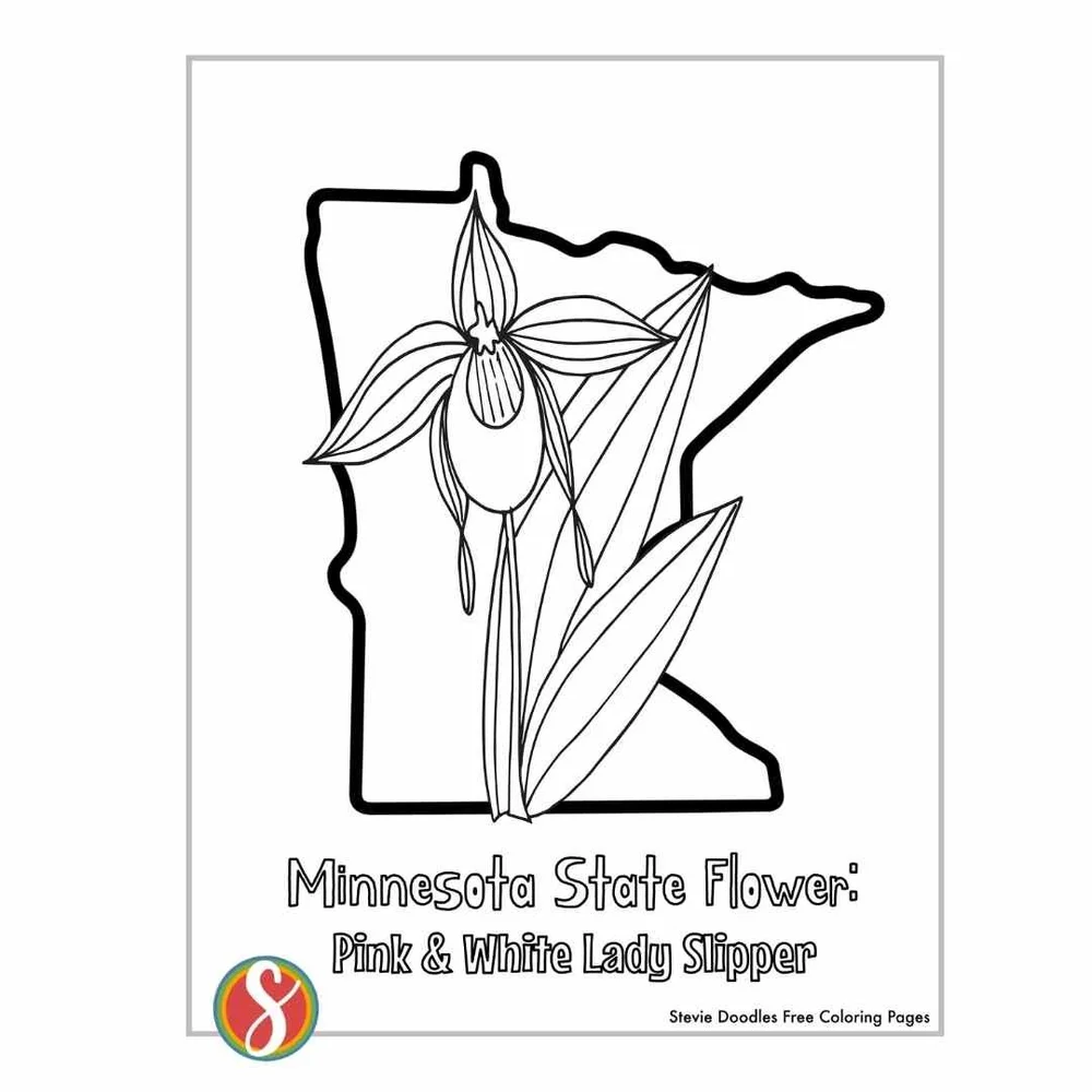 Free Minnesota Coloring Pages — Stevie Doodles