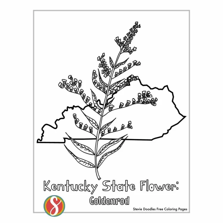 Free Kentucky Coloring Pages — Stevie Doodles