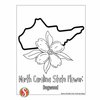 Free North Carolina Coloring Pages — Stevie Doodles