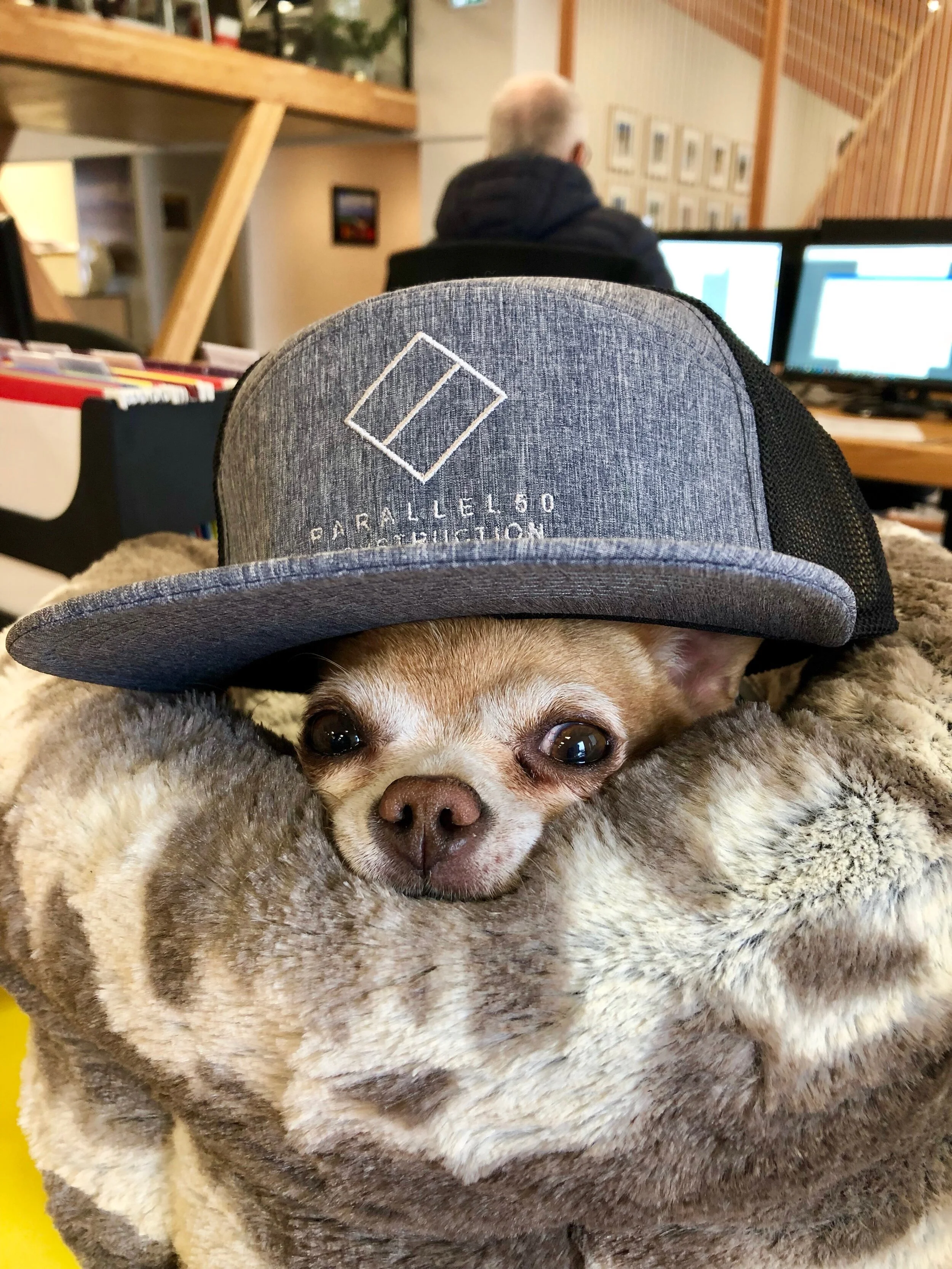 About Us — Parallel 50 Construction