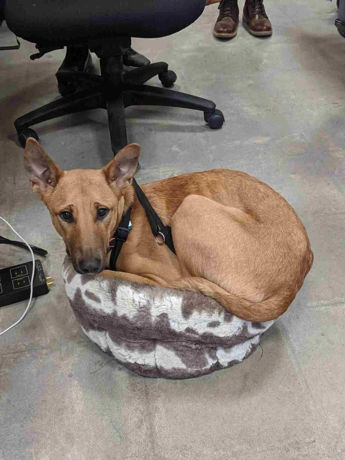 About Us — Parallel 50 Construction