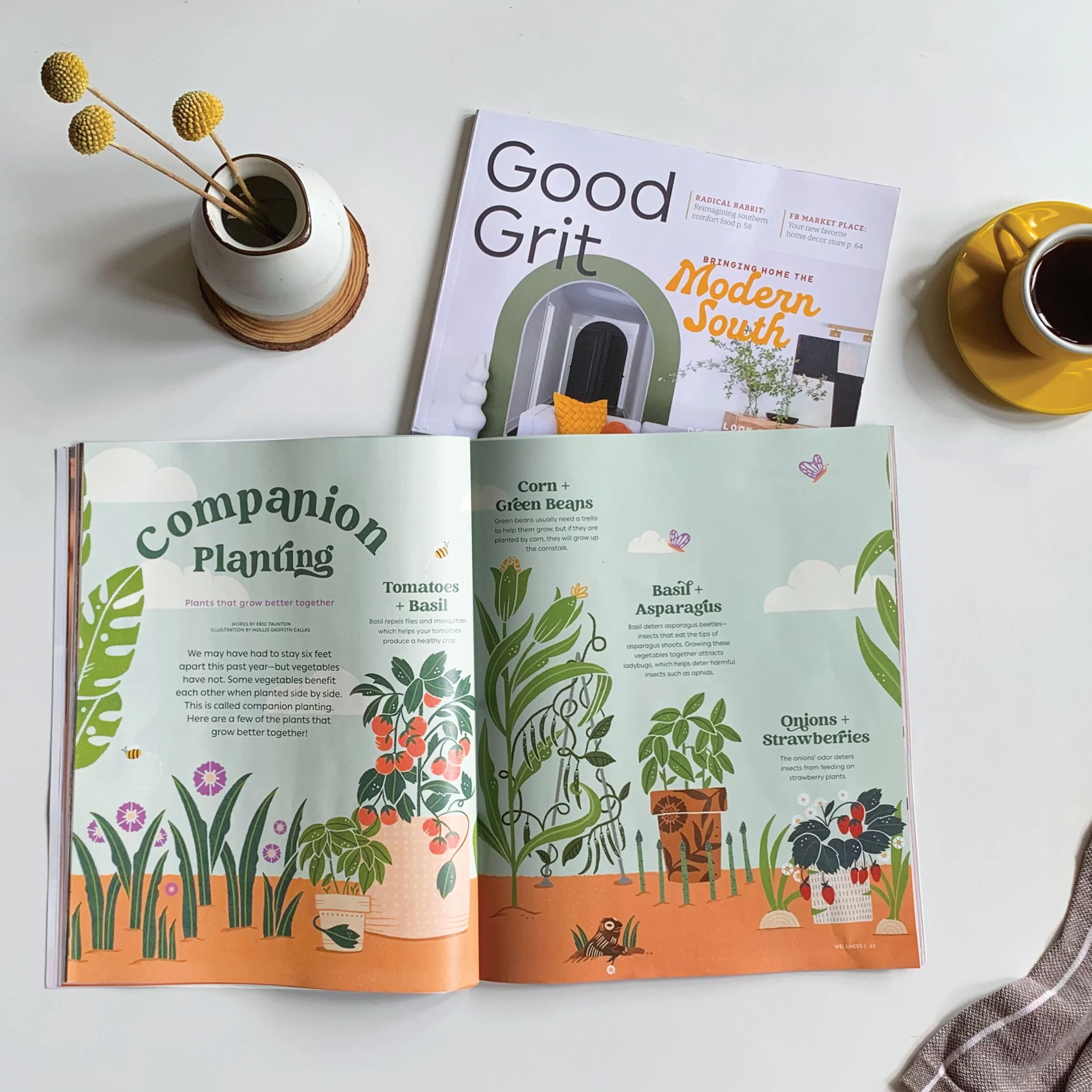 Illustration — Hollis Callas