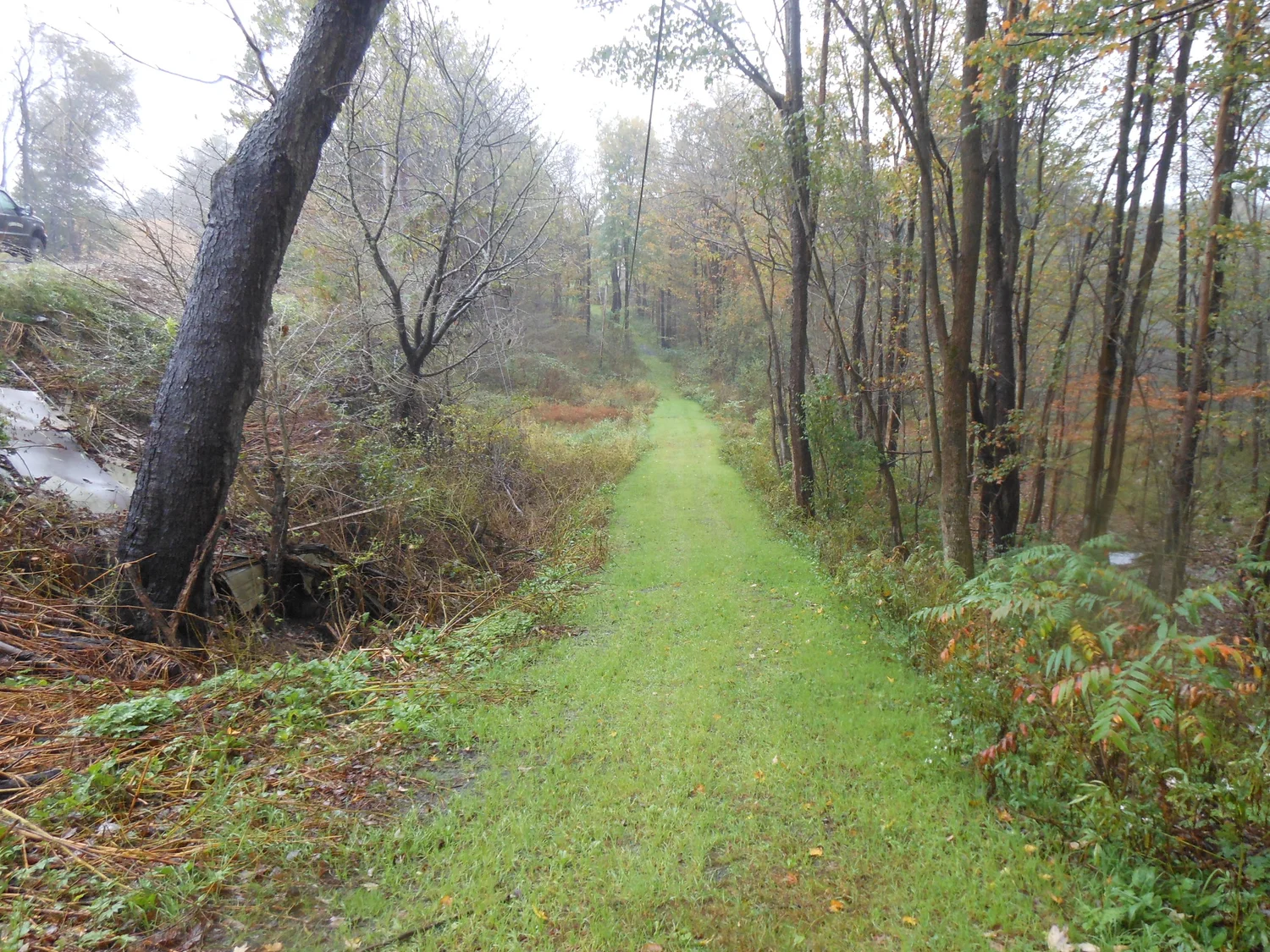New Page — Cambria County Conservation District