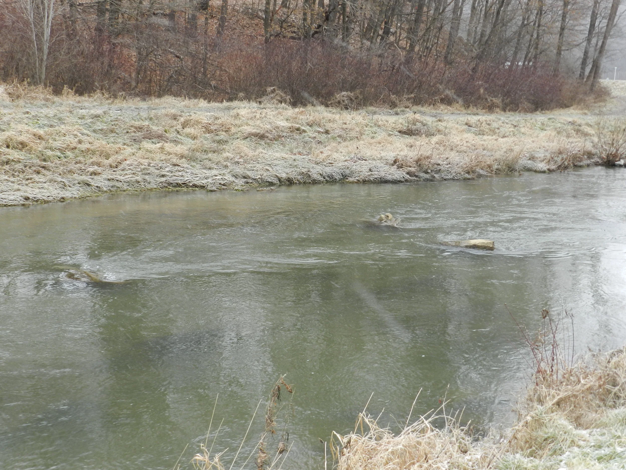 Stream Restoration — Cambria County Conservation District