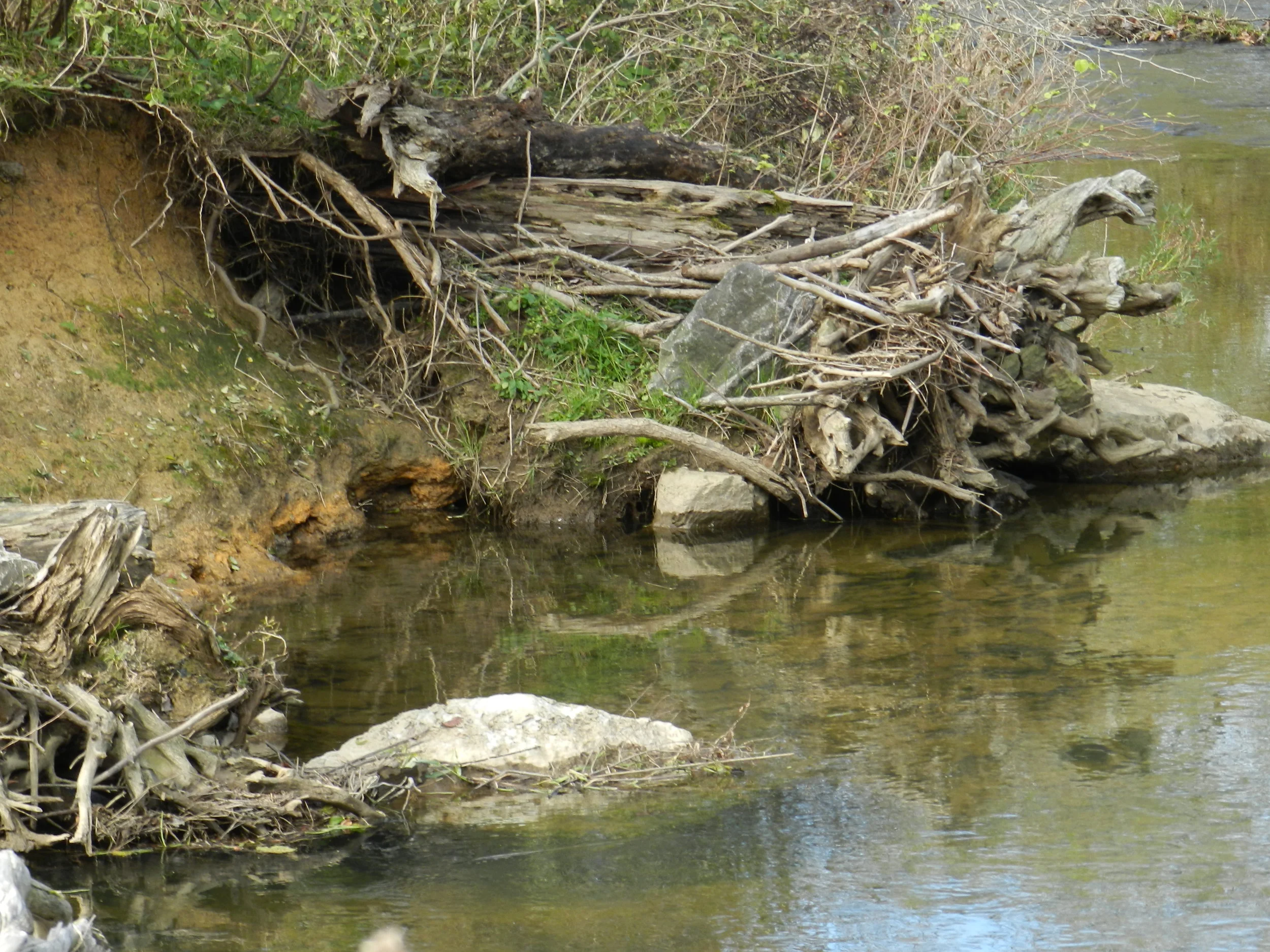 Stream Restoration — Cambria County Conservation District