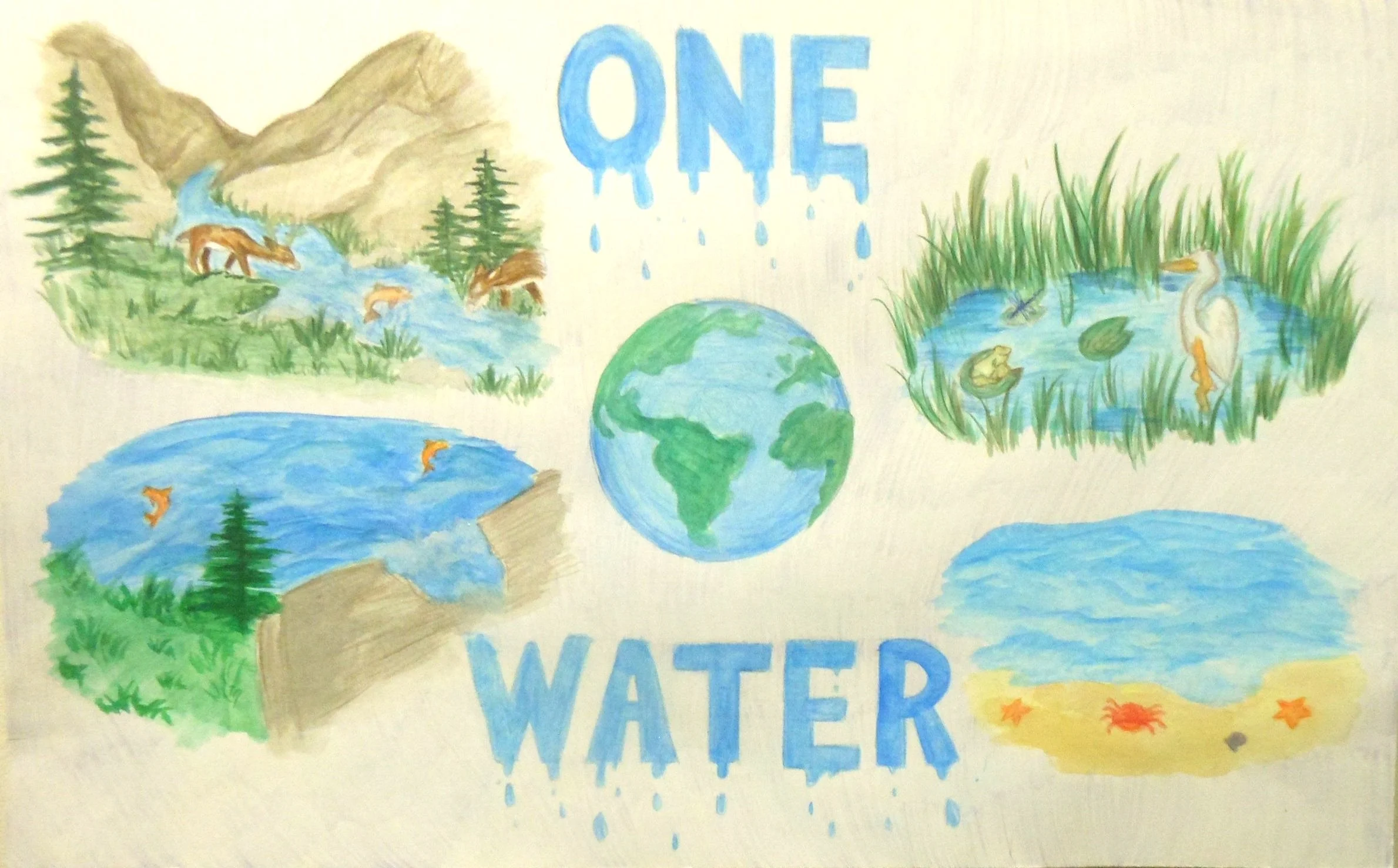Poster Contest — Cambria County Conservation District
