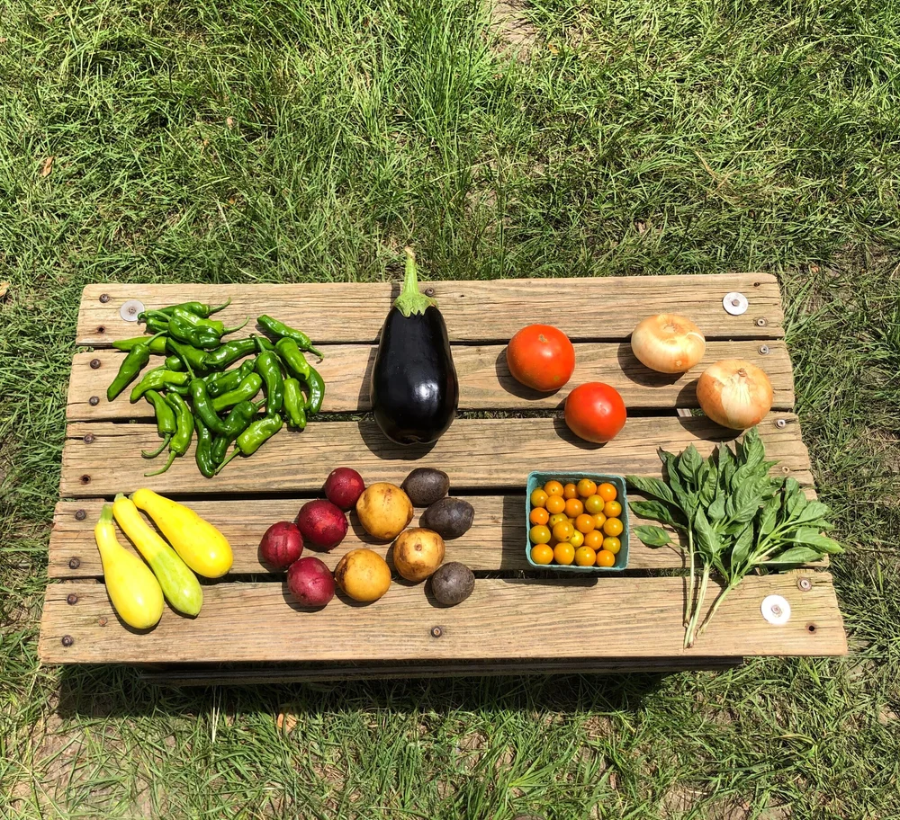 How it Works — The Twenty Bag