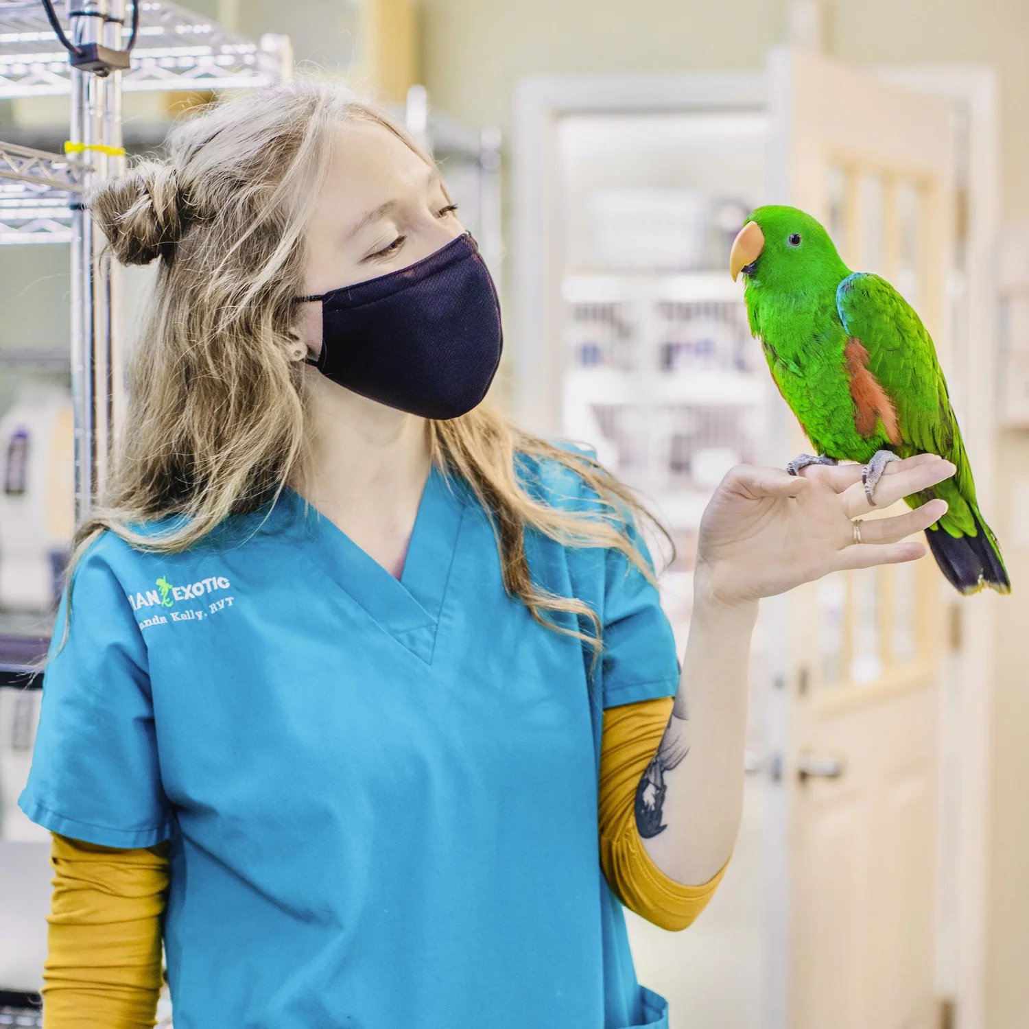 Careers - Registered Technician — AVIAN & EXOTIC ANIMAL CLINIC