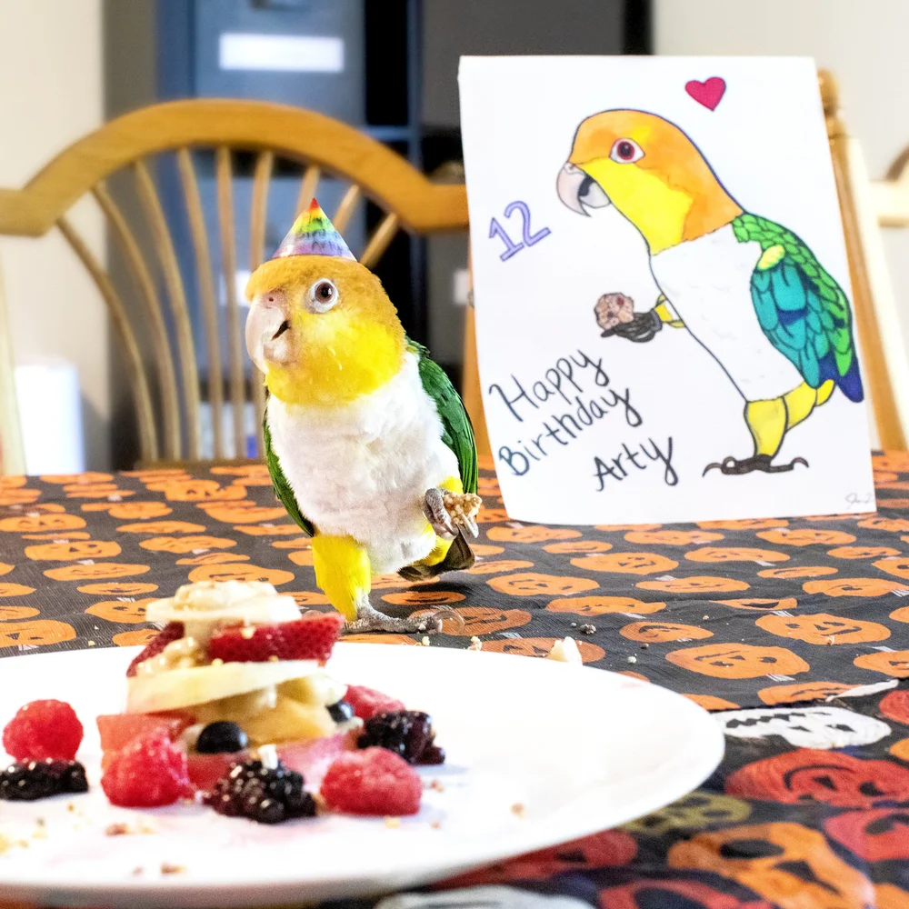 Care for Birds — AVIAN & EXOTIC ANIMAL CLINIC