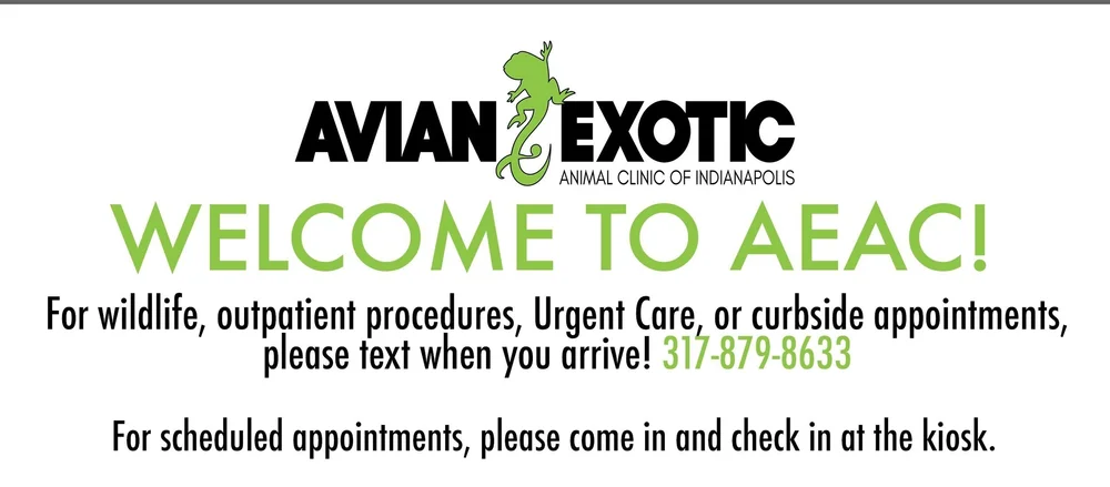 AVIAN & EXOTIC ANIMAL CLINIC
