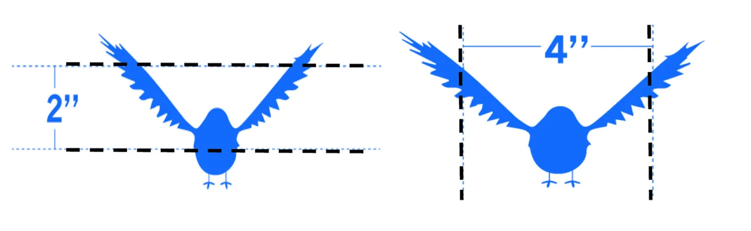 Making your Windows Safer for Birds — Menunkatuck Audubon Society