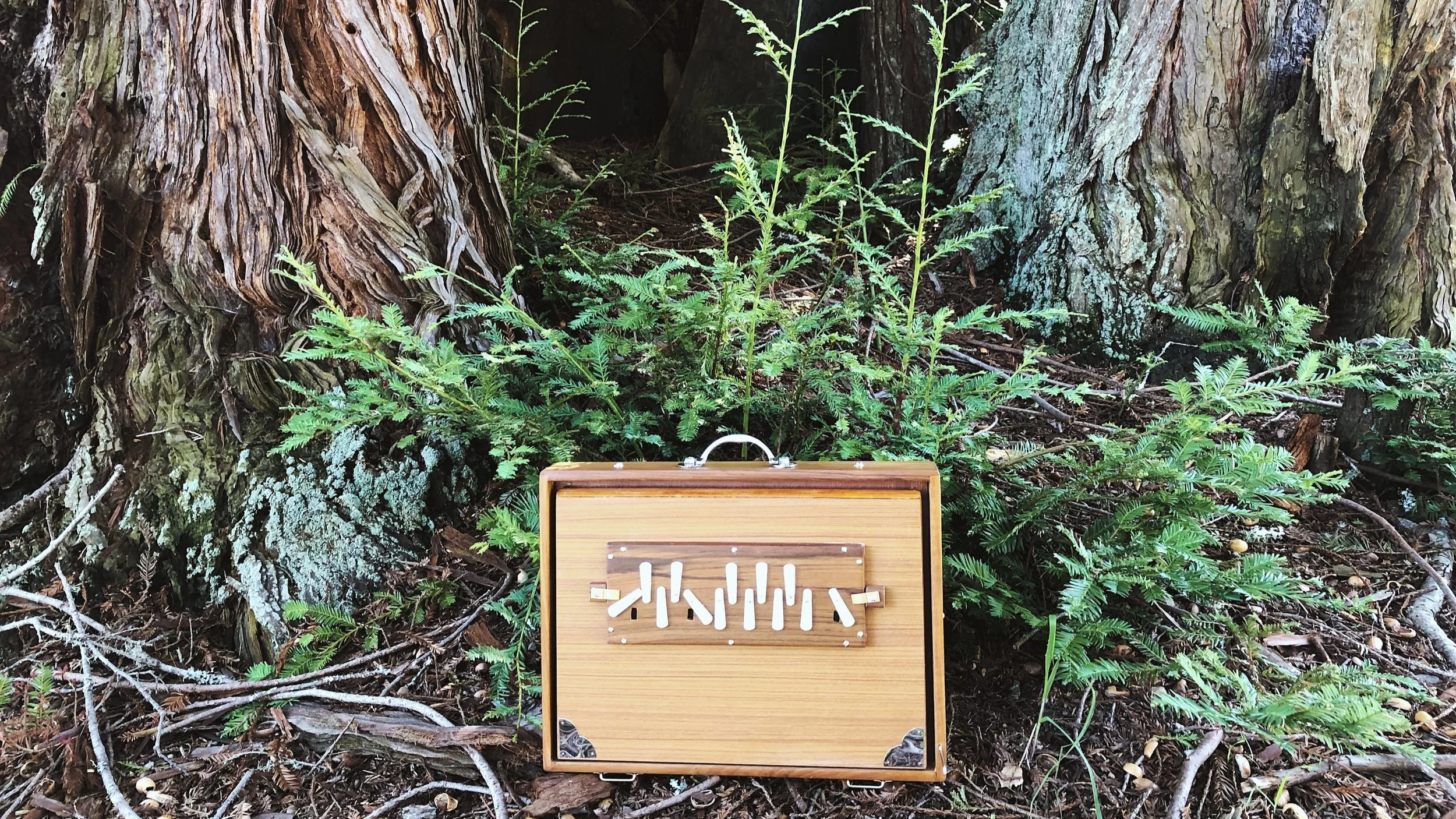 Shruti Sounds—The Shruti Box
