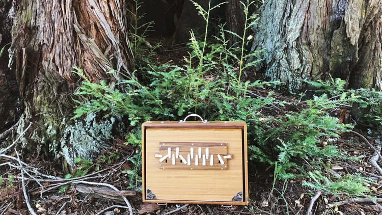 Shruti Sounds—The Shruti Box