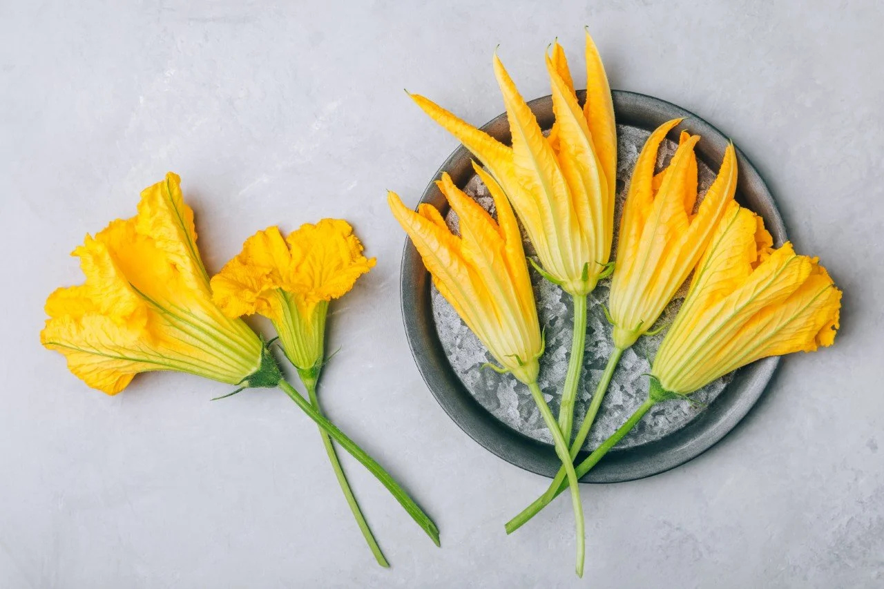 Fresco da Franco - Montclair, NJ