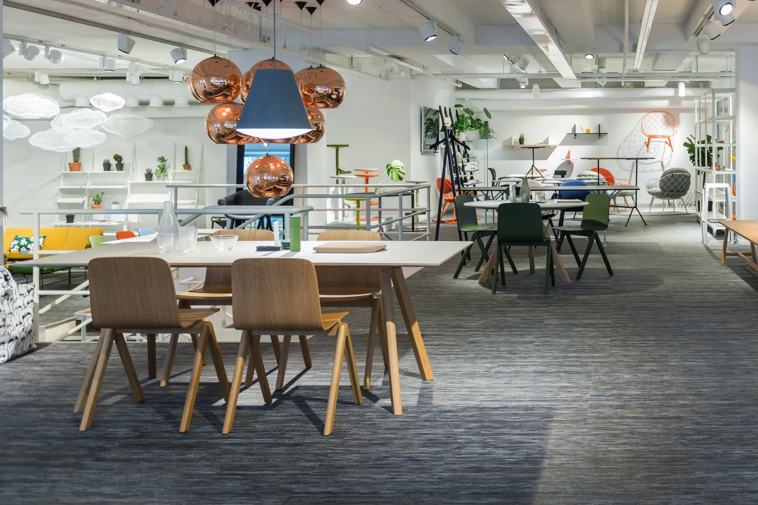 Founded by Garcia — BOLON