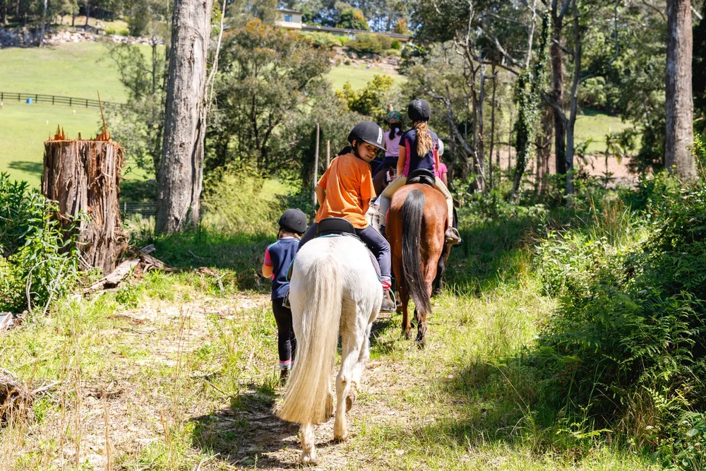 Riding — The Outlook Riding Academy