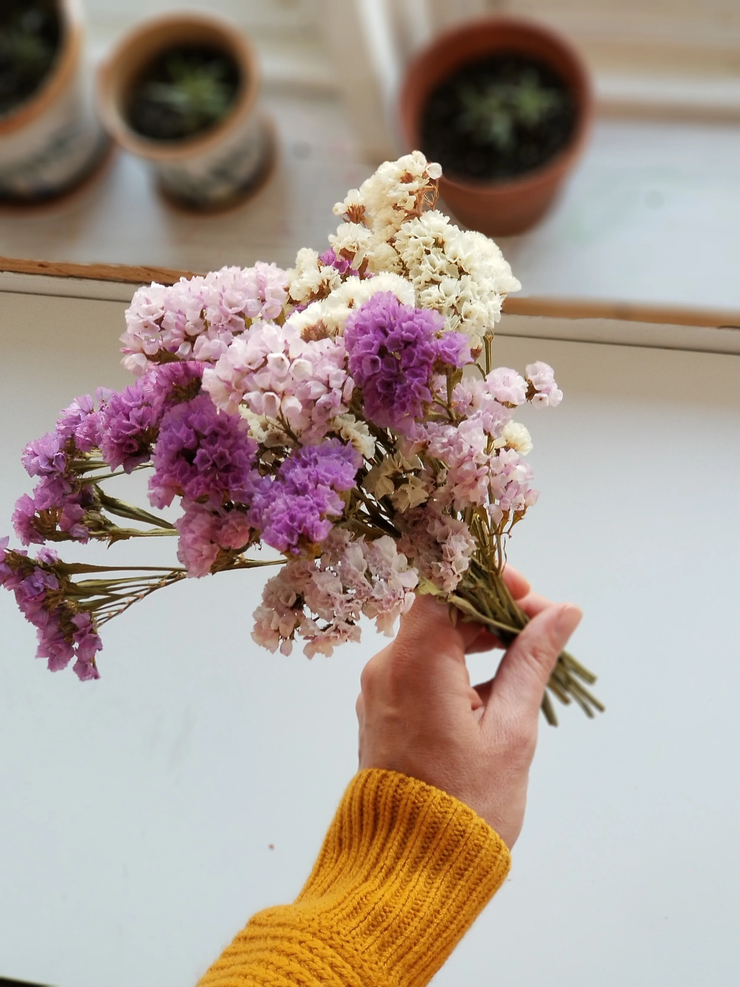 Boutique — Fleurs La Garance