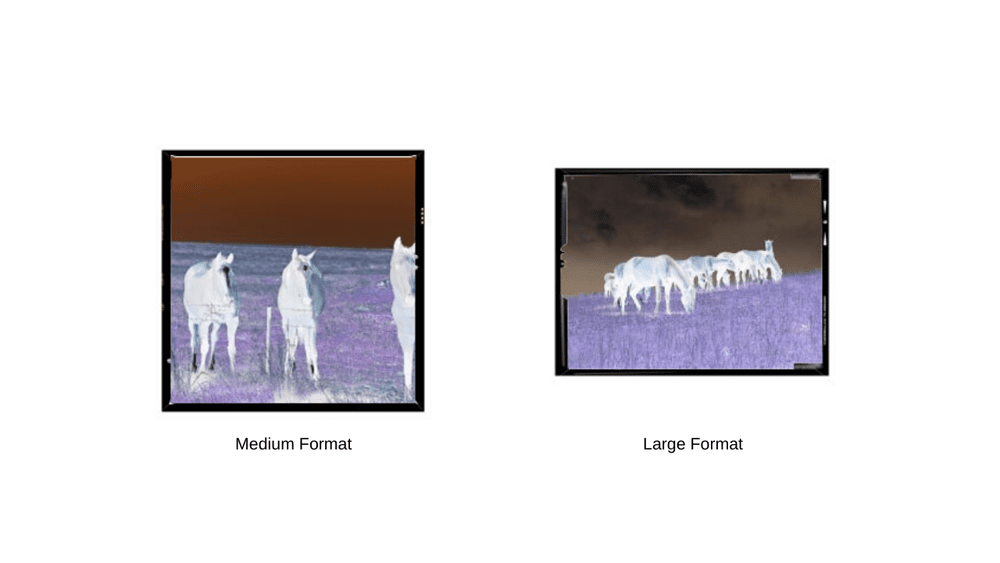 Convert Photos to Digital Service | Photo Digitization