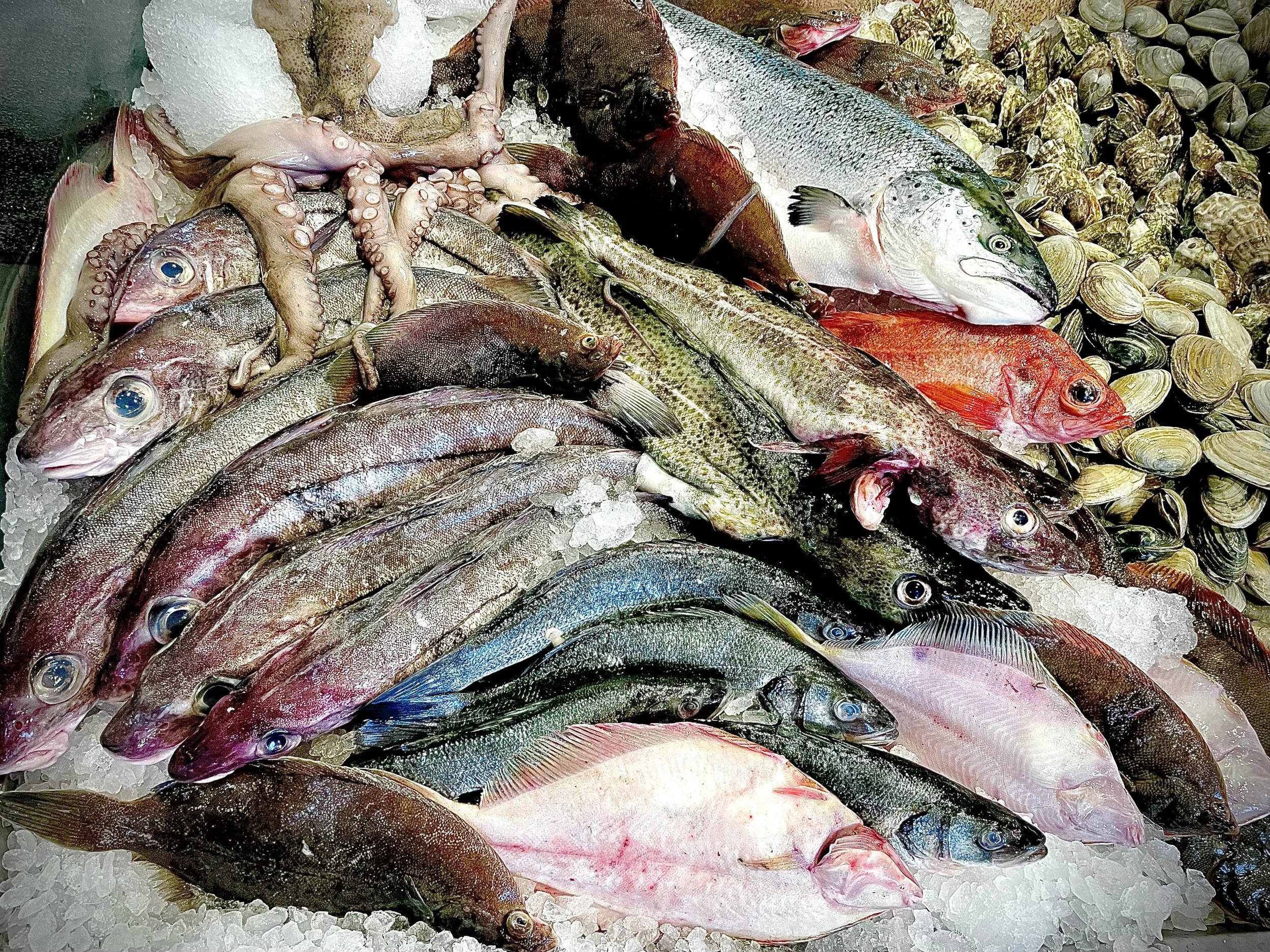 Mullaney's Harborside