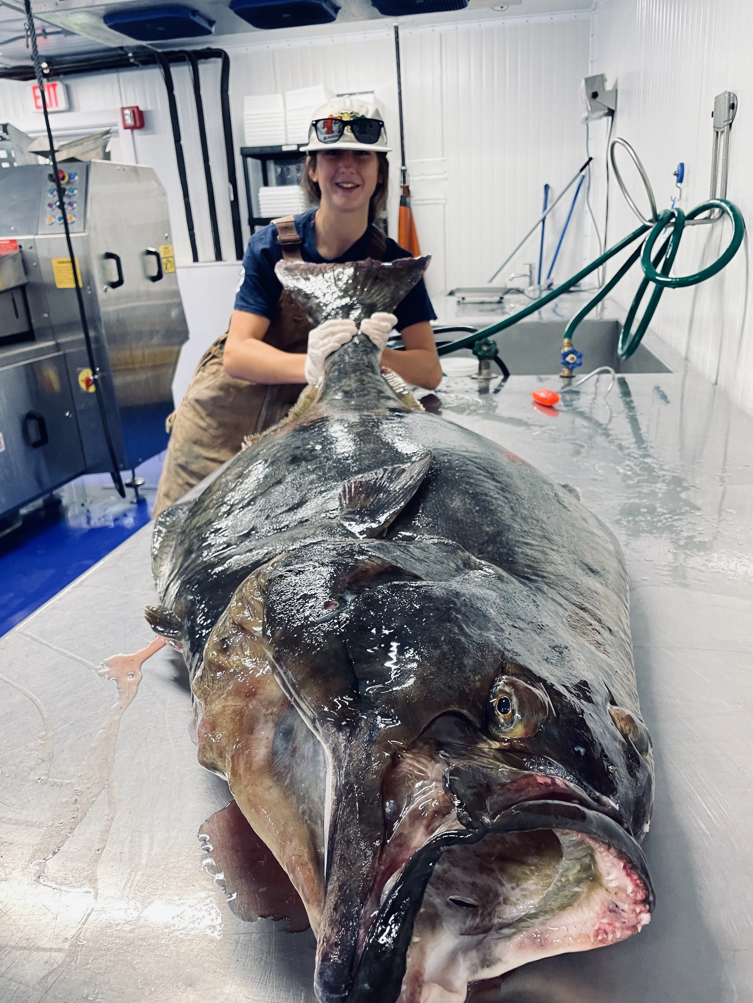 Mullaney's Harborside