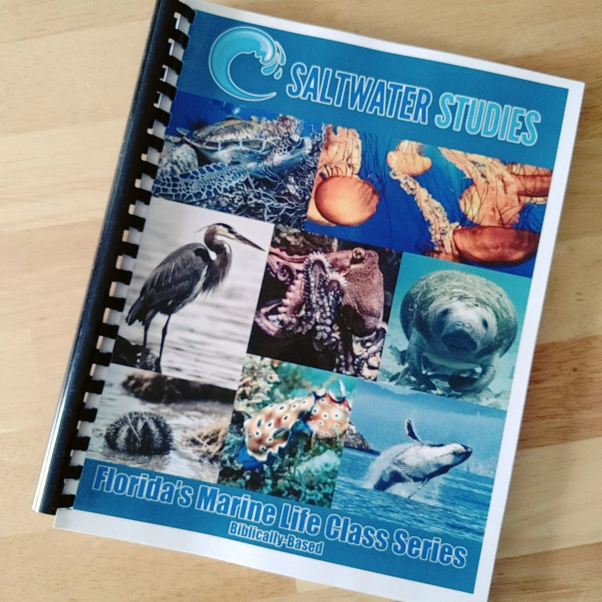 eStore — Saltwater Studies
