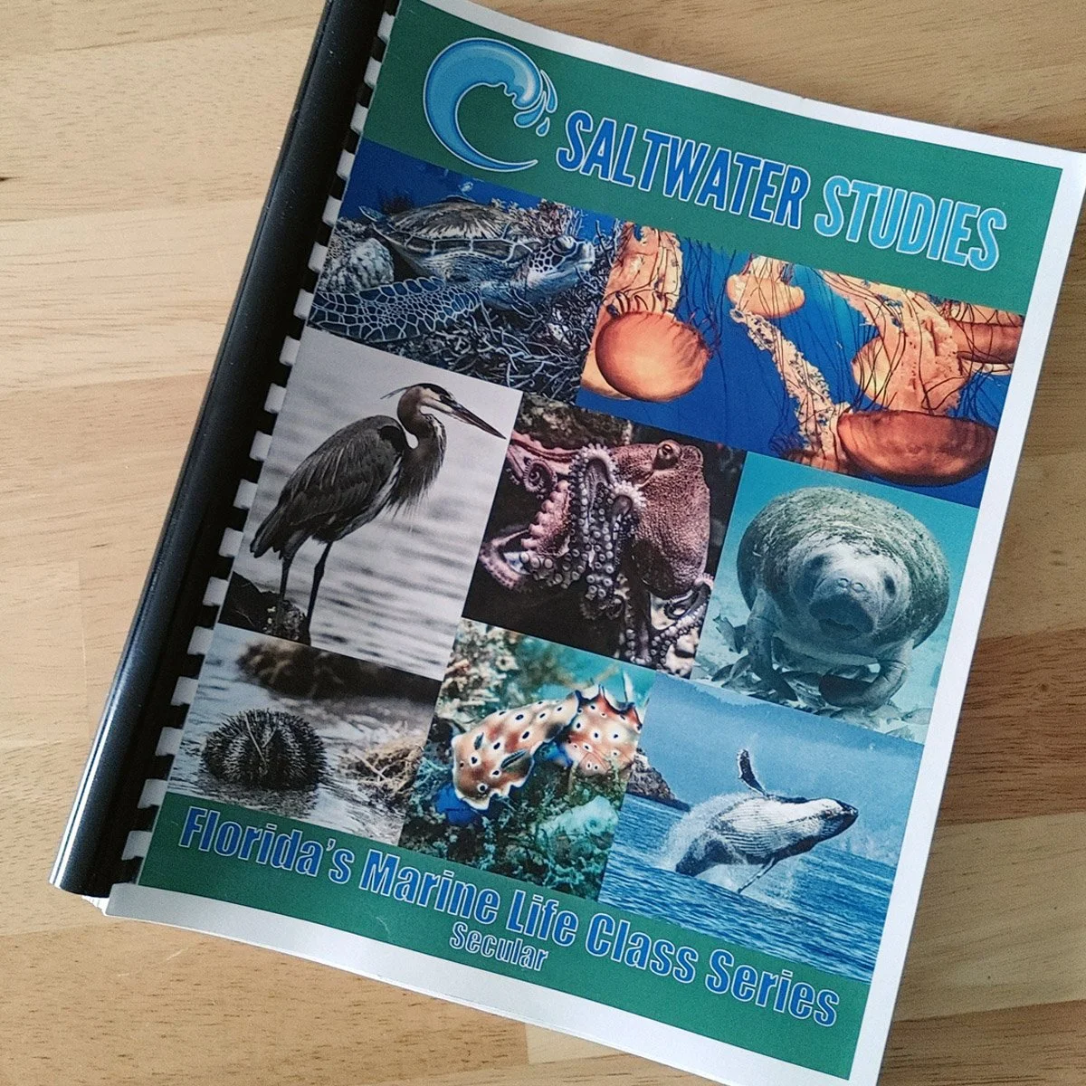 eStore — Saltwater Studies